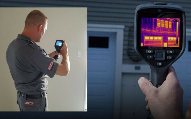 Termite Inspections - A Home Owners Definitive Guide