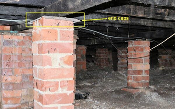 Pest-Ex: What causes termite infestations in your Home?