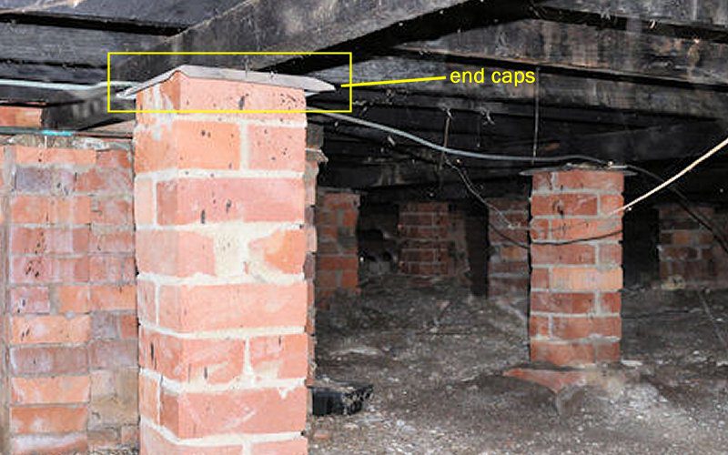 Pest-Ex: What causes termite infestations in your Home?