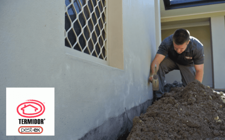 Termidor Review | After a Decade of Use We Rate it 10/10