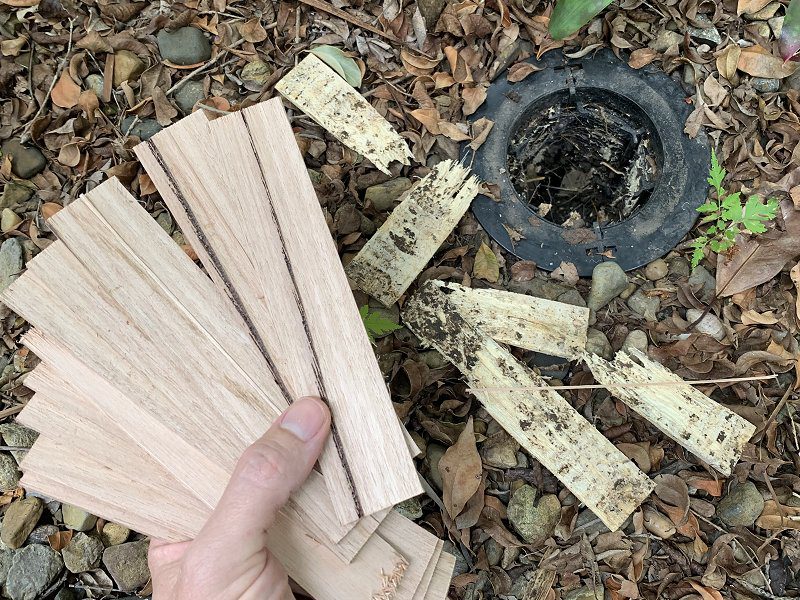 Why Termite Bait System Renewal is Important?