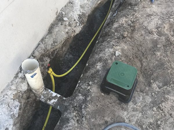 What You Need to Know About Termite Reticulation Systems