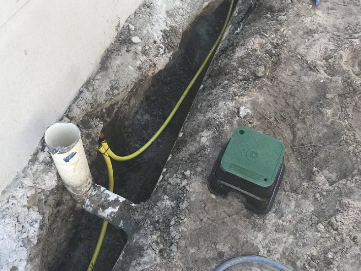 What You Need to Know About Termite Reticulation Systems