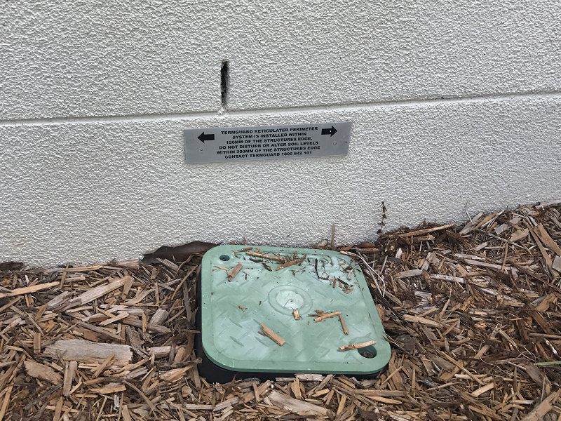 What You Need to Know About Termite Reticulation Systems