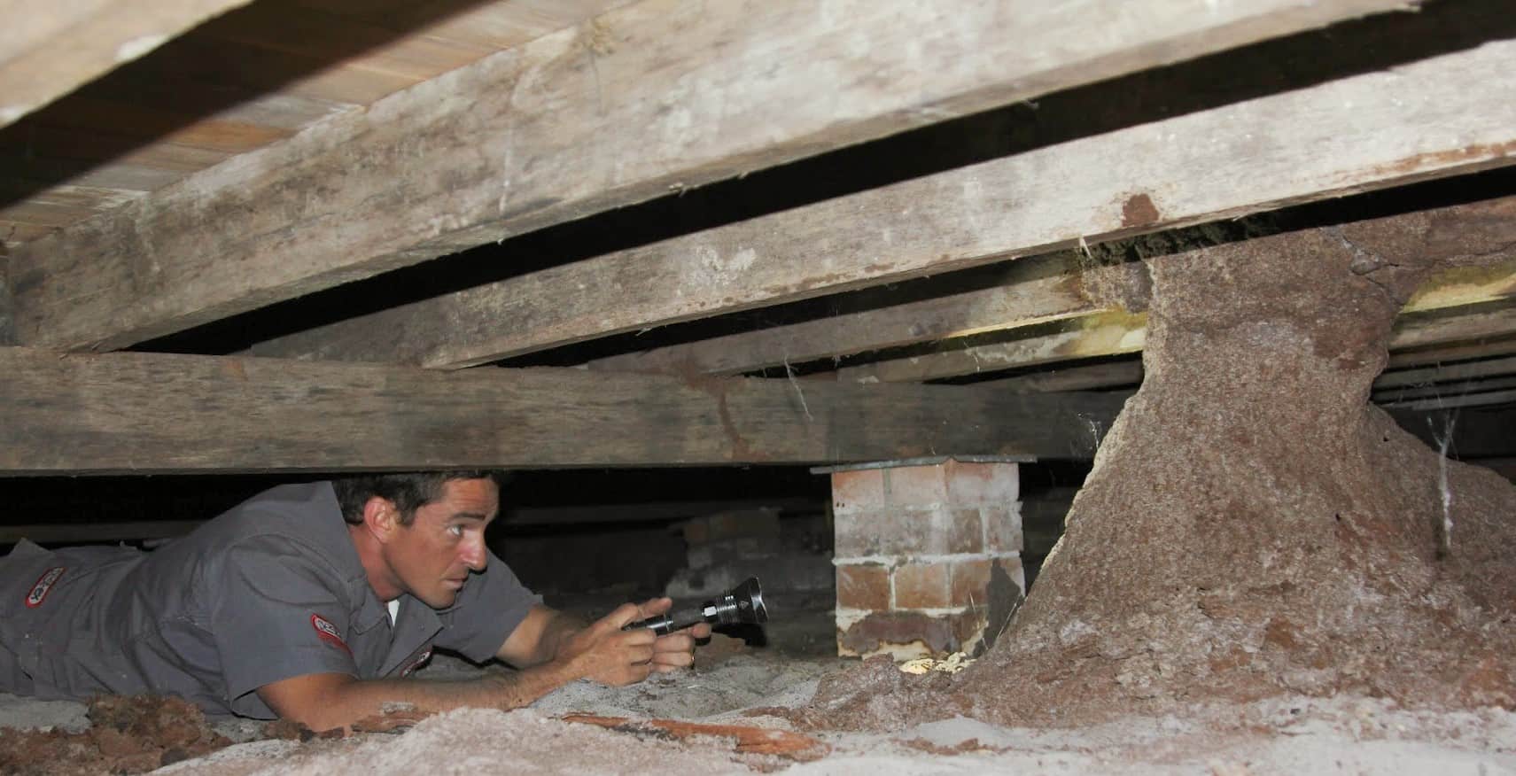 How to Prepare Your Home for a Pest Inspection | Pest-Ex