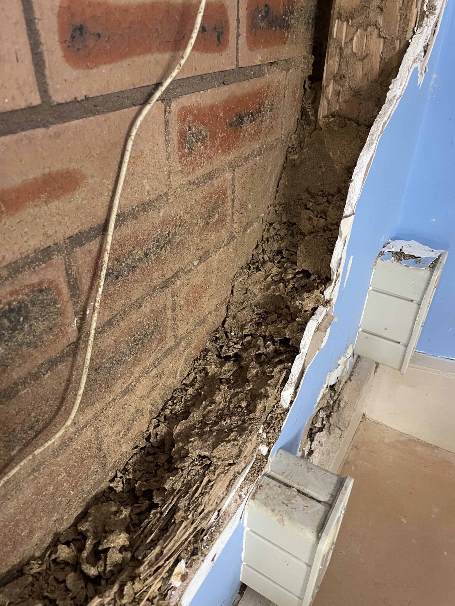 Termite Baiting Stations & Systems | Learn More